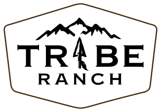 Buy Wagyu Beef Online — Tribe Ranch